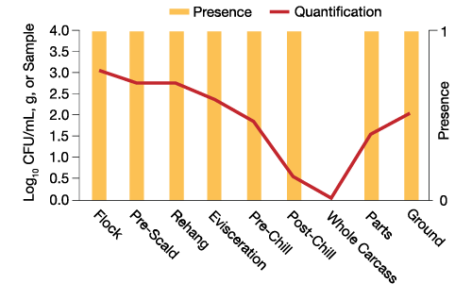 Sistema BAX® PCR - Miuras